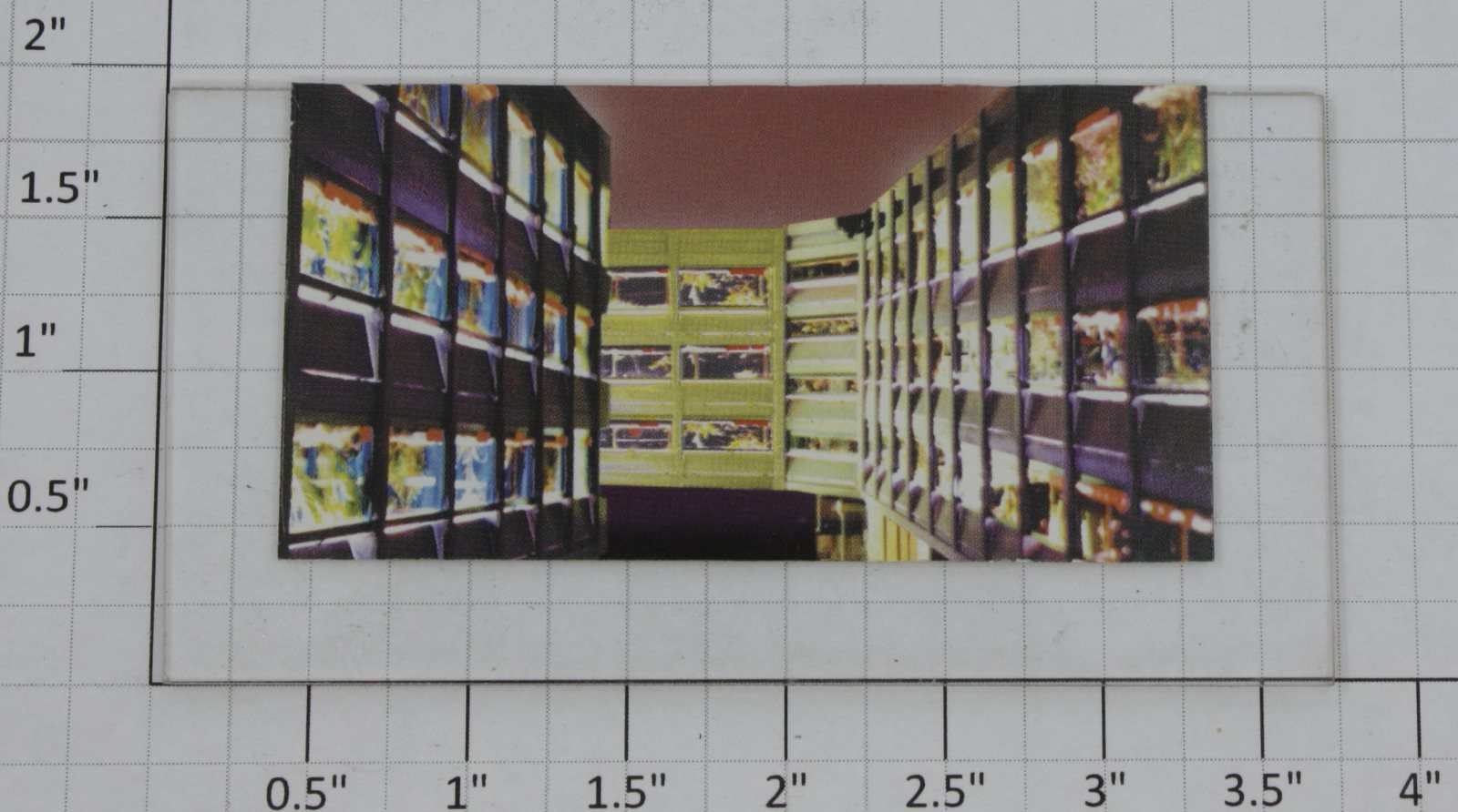 Lionel 14105-26 Rear Aquarium Window Insert – Trainz