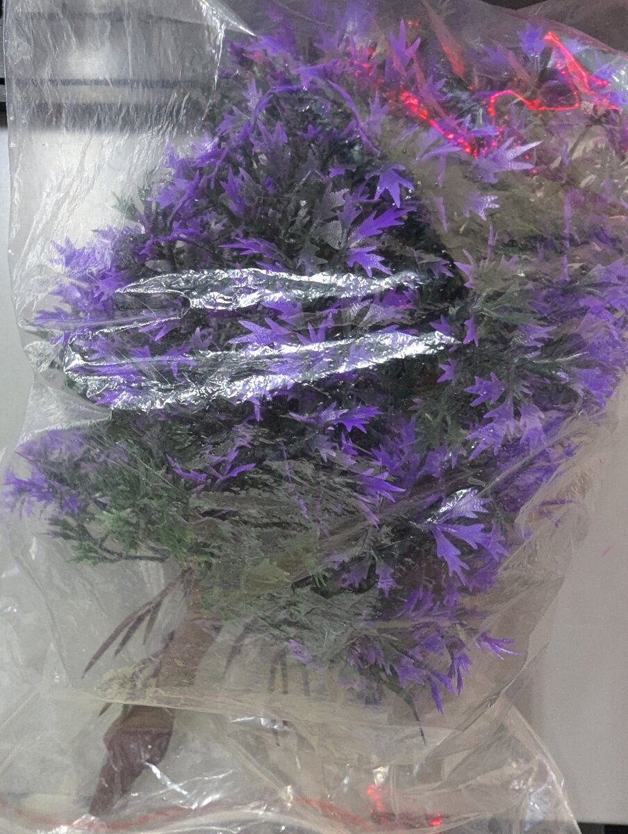 Trainz 6101 O Scale Plastic Purple Maple Tree