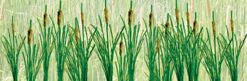 JTT Scenery Products 95536 O Scale Cattails 1-1/2'' Height 4 cm. (Pack ...