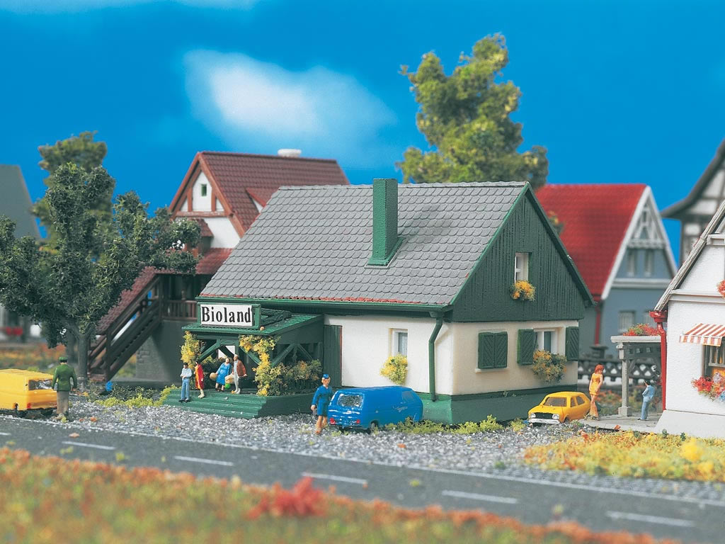 Vollmer 49571 Z House with Shop Building Kit – Trainz