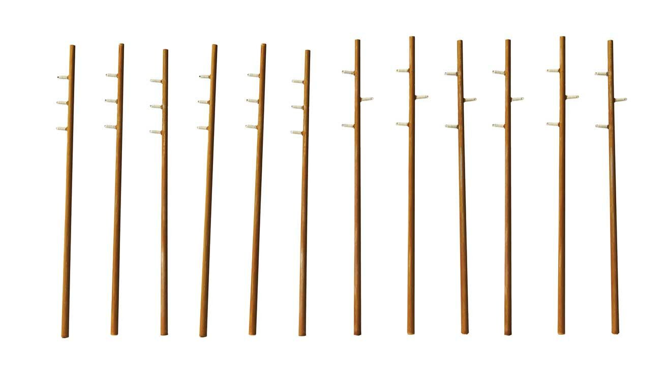 Walthers 933-4173 HO Wood Intermediate Height Utility Poles Kit (Set o ...